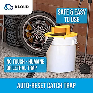 Mouse Rat Traps Bucket Lid 5 Gallon Bucket | Humane & Lethal | Indoor Outdoor House Reusable | Best Trap to Get Rid of Mice Rats and Squirrel, No Poison | No More Glue Traps | No Smoke Bombs or Shots
