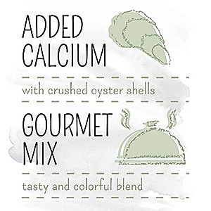 Witte Molen Pure Parakeet Gourmet Seed Mixture and Treat Sticks for Parakeet (Pure Parakeet Gourmet Seed Mixture)