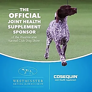 Nutramax Cosequin Joint Health Supplement for Dogs - With Glucosamine, Chondroitin, MSM, and Omega-3's, 60 Soft Chews