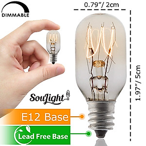 Salt Rock Lamp Bulb 8 Pack 15 Watt Replacement Bulbs for Himalayan Salt Lamps & Baskets, Scentsy Plug-in & Wax Warmers, Night Lights. T20 E12 Socket with Candelabra Base, Clear