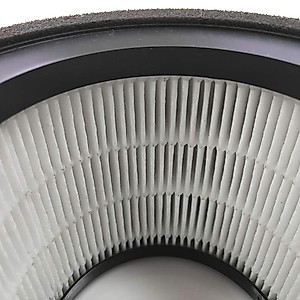 Nispira True HEPA Replacement Filter for Air Purifier, Compatible with Tao Tronics TT-AP001, 2 Packs