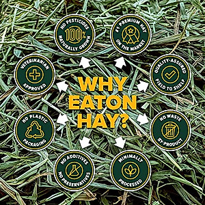 Eaton Pet and Pasture Naturally Grown, Premium, 1st Cut Blend, Western Timothy Hay Orchard Blend, Small Animal Food, Sustainable, Eco-Friendly, Farmer-Owned, 6LB-Box.
