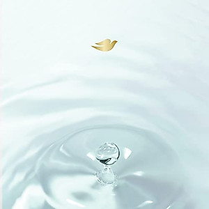 Dove Ultra Daily Moisture Concentrate Shampoo for Dry Hair Moisturizes and Smooths in 30 Seconds, Ultra-Lather Technology and 2X More Washes 20 oz