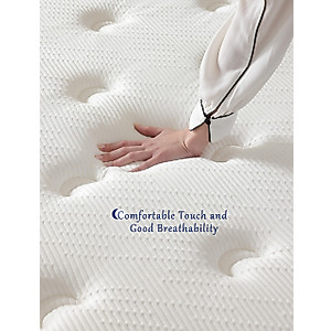 SURLUNKEYS 14 Inch Cal King Mattress - Euro Top Memory Foam Hybrid Mattress with Pocket Spring for Motion Isolating, Medium Firm Mattress in a Box, 120-night Trial