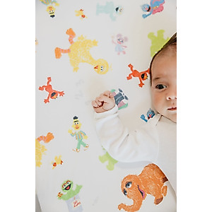 Premium Knit Baby Crib Sheets for Boys and Girls by Copper Pearl: Breathable and Soft, Fitted Crib Sheets for Standard Baby Mattresses, Crib Sheet for Baby Registry or Shower Gift, Sesame Friends