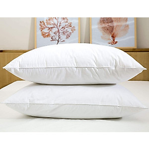 JA COMFORTS Duck Feather Down Bed Pillows for Sleeping(2 Packs)-Standard/Queen,High Filling Weight,600 Thread Count,Double-Layer Downproof Fabric Design,10% Duck Down,Cotton Cover,White
