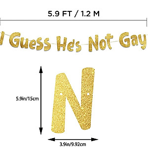 Bachelorette Party Decoration, I Guess He's Not Gay Banner, Bachelorette Party Favors Bachelor Party Supplies Bridal Shower Decorations