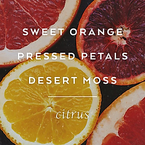 TOKYOMILK Dark Everything & Nothing Eau de Parfum | Daring, Provocative Perfume | Intoxicating, Alluring Fragrance Notes Form a Unique, Sensory Experience | 1.6 fl oz / 47.3 ml