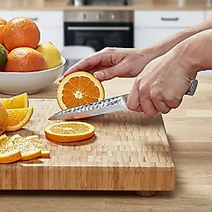 Sasaki Takumi Japanese AUS-10 Stainless Steel Utlilty Knife with Locking Sheath, 5.5-Inch, Black