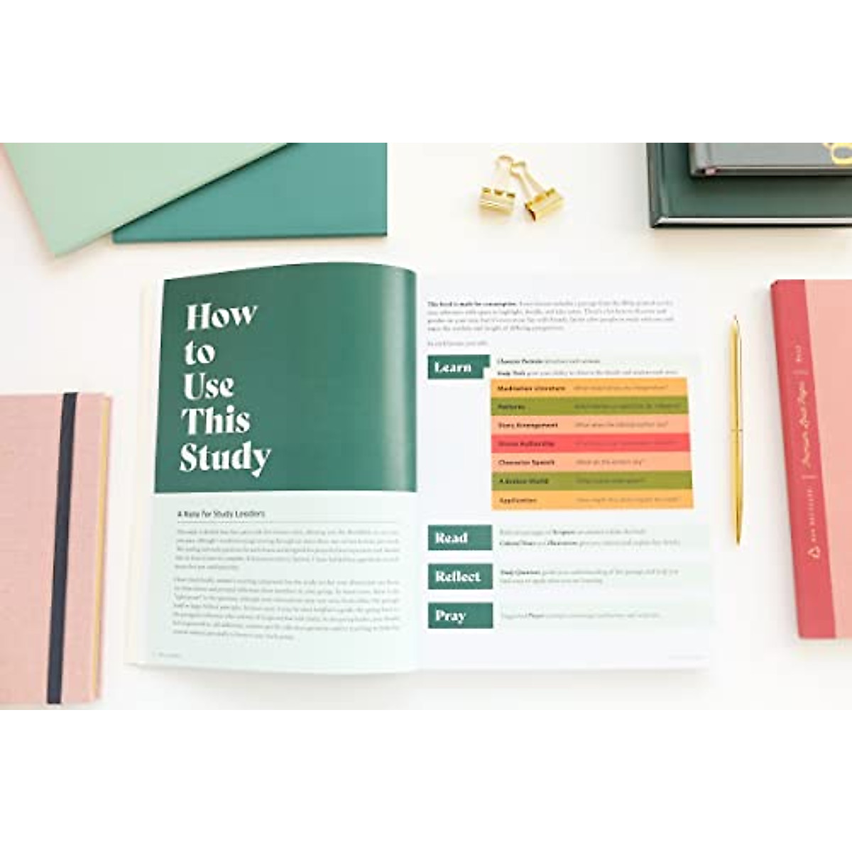 Brave and Beloved: A Bible Study for Women Exploring the Wisdom and Diversity of Women in the Bible