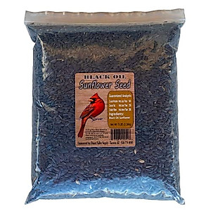 Desert Valley Premium Black Oil Sunflower Seeds - Wild Bird - Wildlife Food, Cardinals, Squirrels, Doves & More (5-Pounds)