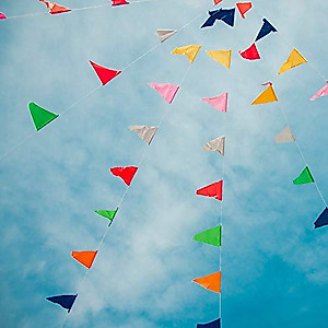 250pcs 263FT, Multicolor Pennant Flags, Nylon Fabric Decorations Grand Opening Banner Rope by Crystal Lemon