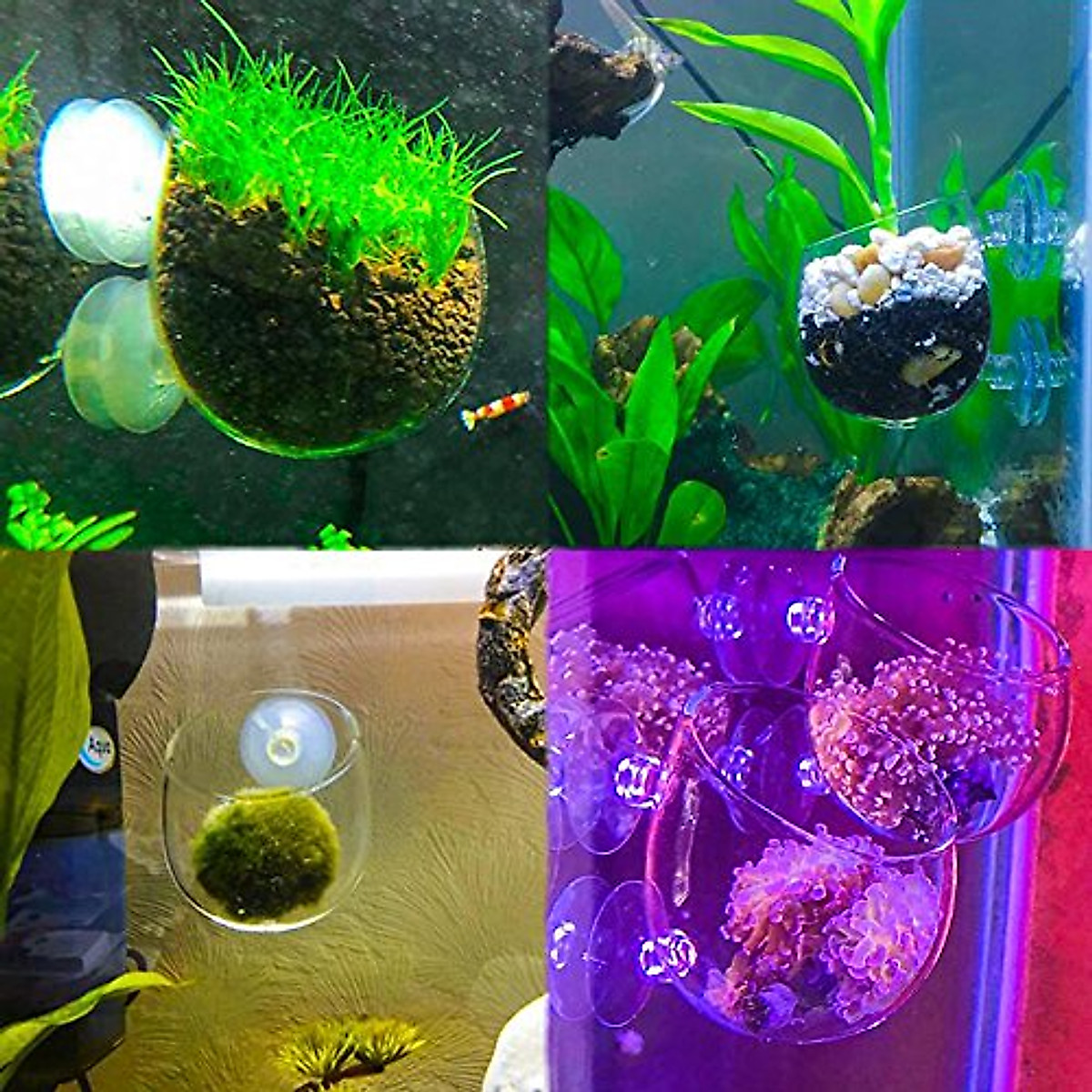 Senzeal 2X Crystal Glass Aquatic Plant Cup Pot with 4X Suction Cups for Fish Tank Aquarium Aquascape