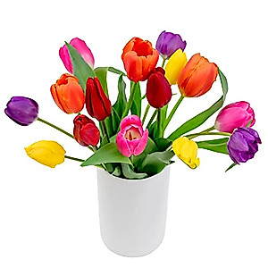 Stargazer Barn - Prime Overnight Delivery - The Happy Bouquet- Farm Fresh Colorful Tulips - Ship directly from our farm to your door, Red, Pink, Yellow, Purple, Orange