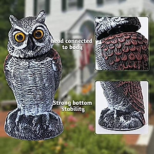 KKY Fake Owl Sculpture Latest 2pc, Revolving Head Plastic Owl for Outdoor Garden.