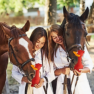 Hungdao 1 Pcs Horse Toys Latex Squeaky Squeeze Chicken Squeak Turkey Balls for Play Fake Screaming Chicken Toys for Horses Soccer Ball for Reduce Separation Anxiety Noise Maker (Red)