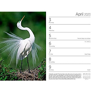 Audubon Engagement Calendar 2023: A Tribute to the Wilderness and its Spectacular Landscapes
