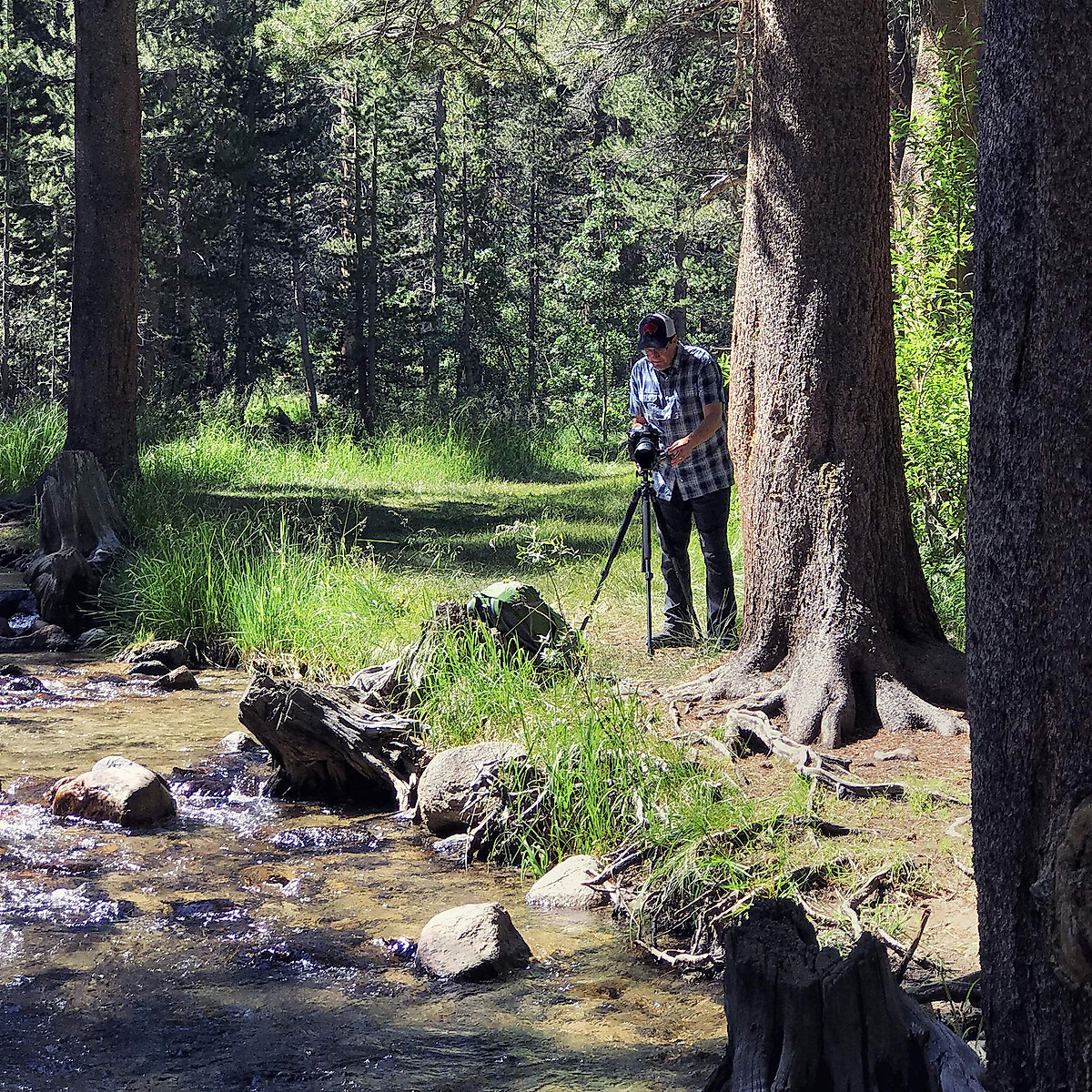 SLIK PRO 330SVH Aluminum Tripod with SVH-501 Compact Fluid Video Head for Mirrorless/DSLR Sony Nikon Canon Fuji Cameras and More - Black (613-354)