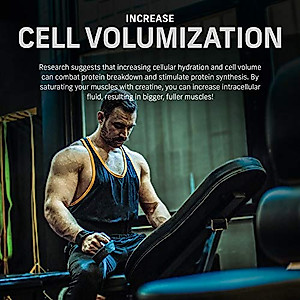 Creatine Monohydrate Powder | MuscleTech Platinum | Pure Micronized | Muscle Recovery + Builder for Men & Women | Workout Supplements | Unflavored (80 Servings)