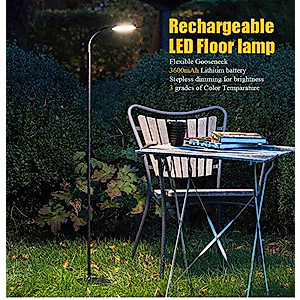 LIGHTACCENTS Lumos Cordless LED Floor Lamp Rechargeable Battery Operated Portable Dimmable Reading Light - Adjustable LED Light - Floor Lamp for Bedrooms- LED Light