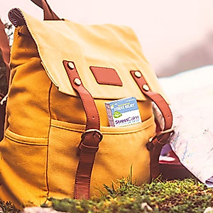 Boiron StressCalm On The Go for Relief of Stress, Anxiousness, Nervousness, Irritability, and Fatigue - 2 Count (160 Pellets)