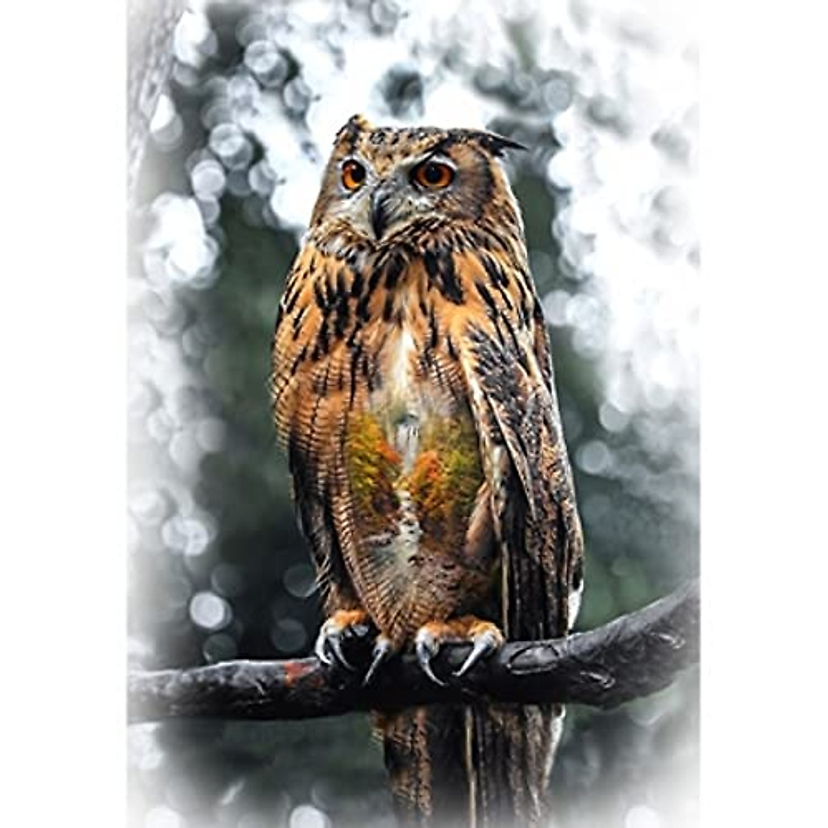 Hoffman Call of The Wild T4908 66 Autumn Owl Panel