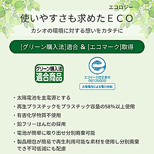 Casio Desk Calculator Type DF-120GT-N (Japan Import)