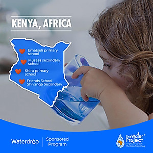 Waterdrop dw2042fr-09 water filter, Replacement for Daewoo® DW2042FR, DW2042FR-09, Kenmore 46-9130, Aqua Crystal DW2042F-09, FRN-Y22D2V, 3 Filters