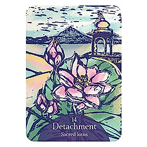 The Language of Flowers Oracle: Sacred botanical guidance and support (44 Full-Color Cards and 144-Page Guidebook) (Rockpool Oracle Card Series)