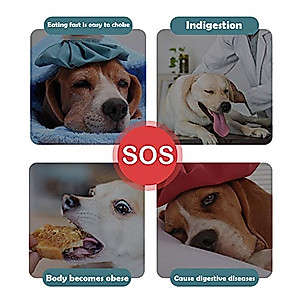 CAISHOW Slow Feeder Dog Bowl Anti Gulping Healthy Eating Interactive Bloat Stop Fun Alternative Non Slip Dog Slow Food Feeding Pet Bowl Slow Eating Healthy Design for Small Medium Size Dogs