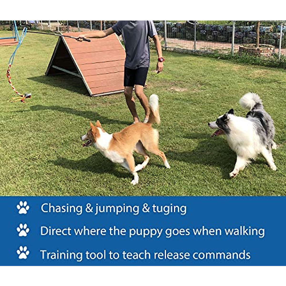 Interactive Flirt Pole Toy for Dogs Chase and Tug of War,Durable Teaser Wand with Pet Fleece Rope Tether Lure Toy to Outdoor Exercise & Training for Small Medium Large Dogs (Blue/Red, POLE-35 inches)