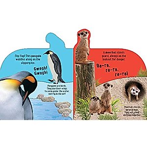 Discovery: Roar at the Zoo! (10-Button Sound Books) (Image on Book may slightly vary)