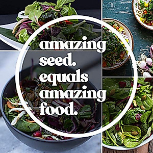 Orach Seeds (French Spinach) - Red Fire - 1 g Packet ~250 Seeds - Atriplex hortensis - Farm & Garden Vegetable Seeds - Non-GMO, Heirloom, Open Pollinated, Annual