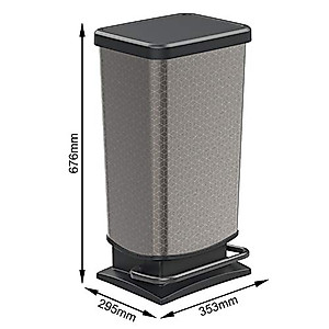 Rotho Paso Rubbish Bin Odour-Proof Plastic (PP) in Stainless Steel Look Pedal Mechanism for Opening the Waste Bin, Hexagon, 40 litres