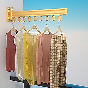 EAFTOS Drying Rack Indoor Balcony Outdoor Multifunctional Folding Clothes Drying Rack Hangers for Clothes (Color : Champagne, Size : 55x5x10cm)