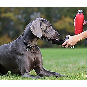 KONG H2O KGK925 Stainless Steel Water Bottle 700ml, One Size