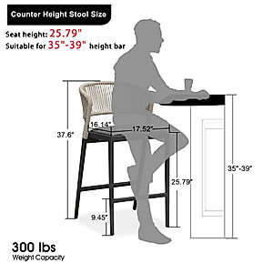 PURPLE LEAF Counter Height Bar Stool Set of 2 Modern Aluminum Rattan Wicker Outdoor Barstools with Backrest and Cushion for Kitchen Lawn Pool Bar Chairs Dark Grey