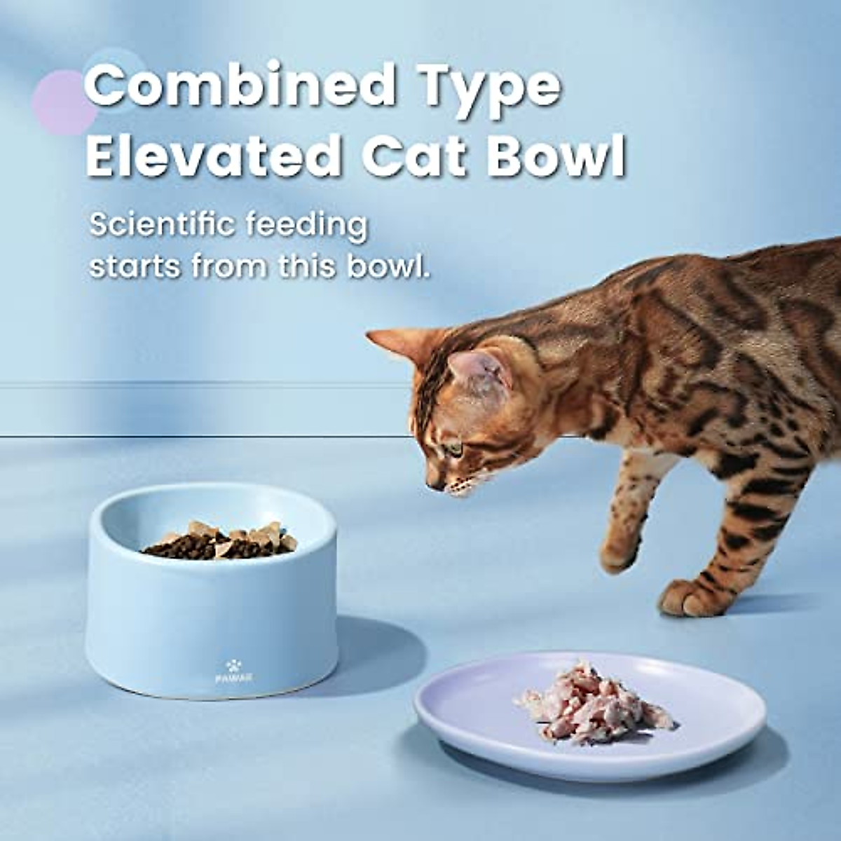 Pawaii Ceramic Cat Bowl, Combined Type Elevated Cat Bowl, Whisker Fatigue Cat Bowl, Dishwasher and Microwave Safe, One Elevated Cat Bowl and One Dish