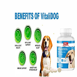 VitaliDOG Multivitamin for Dogs, Skin and Coat Supplement, Dog Prenatal Health Supplies, Vitamin A + E + B9 + B5 + H + Biotin + Amino Acids + Folic Acid for Dogs, 150 Chewable Tablets