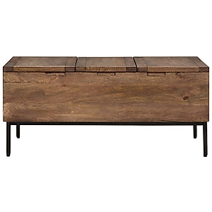 Signature Design by Ashley Braddick Trunk, Light Brown and Black