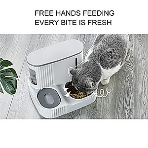Automatic Cat Feeders,Detachable 2-in-1 Water and Food Bowl Set, Gravity Refill, Easily Clean, Self Feeding for Small Large Pets Puppy Kitten Rabbit Bunny