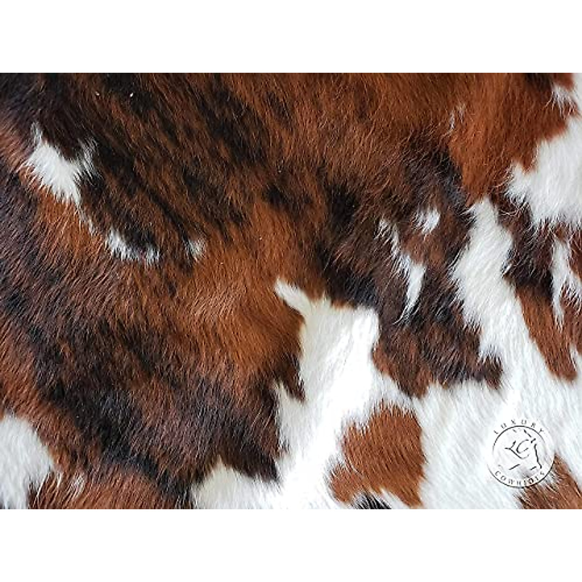 Genuine Tricolor Cowhide Rug Approx. 6 x 7-8 ft. 180 x 220 cm