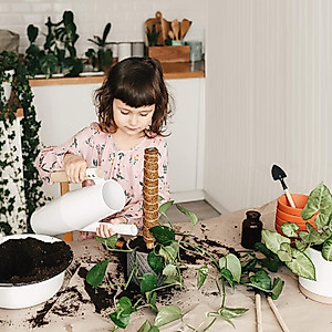 Eibikdi 6 Pcs Moss Pole Extending to 68 Inches for Plants Monstera, Plant Support Stakes for Indoor Climbing Plants Grow Upwards, with 65ft Twist Ties, 13ft Jute Rope, 6.5ft Hook-and-Loop Strip