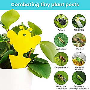 NiHome 48-Pack Yellow Sticky Traps with Twist Ties Indoor & Outdoor Plant Bug Fly Glue Catcher Nontoxic Odorless for Home Garden (Flower)