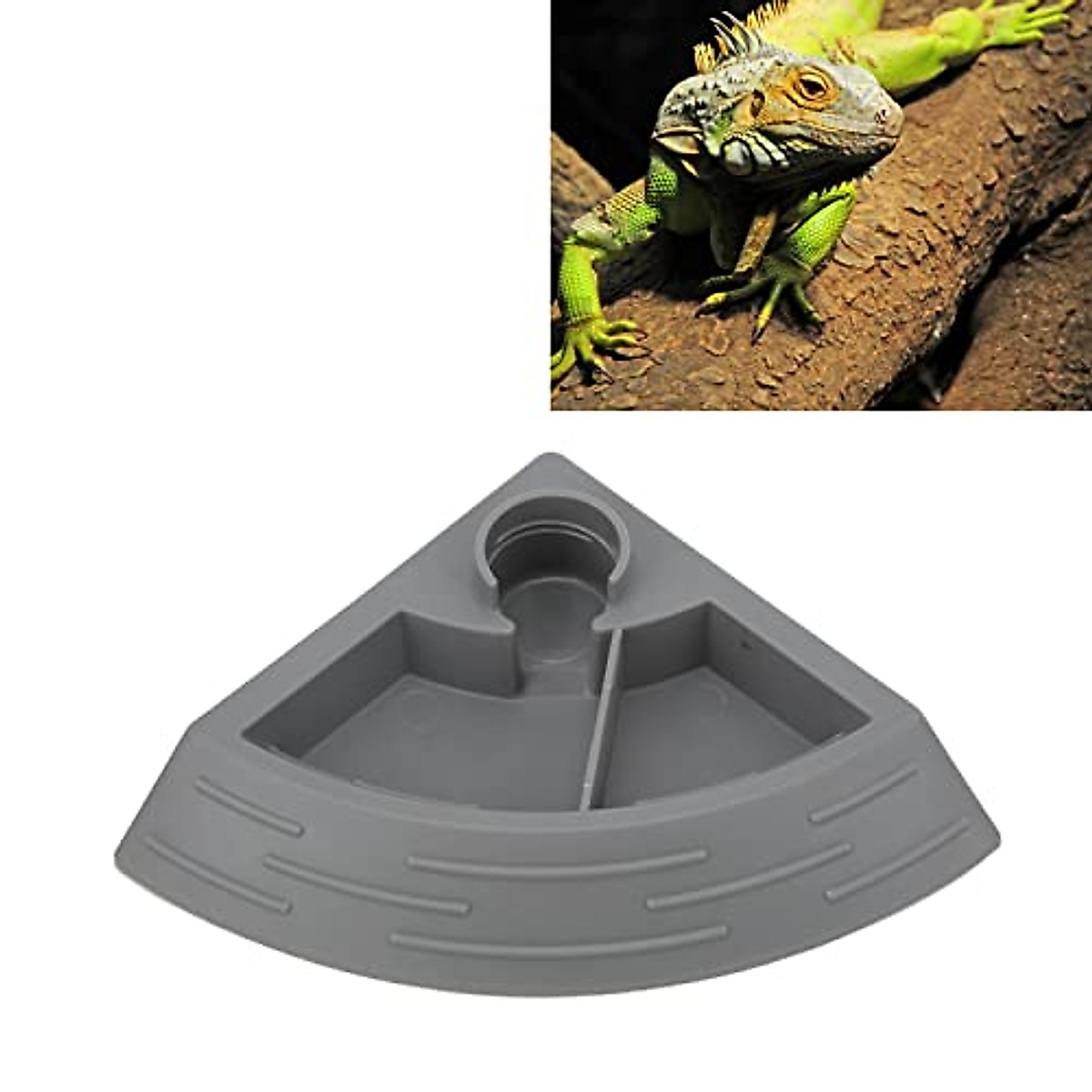 Pssopp Reptile Feeder and Waterer Automatic refilling Reptile Water Dispenser Tortoise Feeding Dish for Reptiles