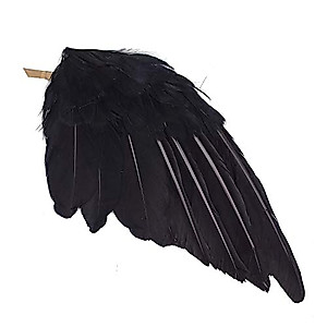 2-Pack Realistic Crows Lifesize Extra Large Handmade Black Feathered Crow for Halloween Decorations Birds, L (13 inch+12 inch)