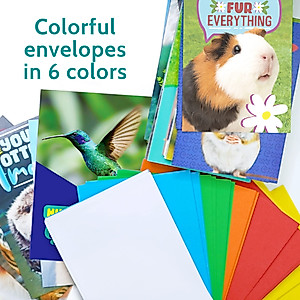 T MARIE 48 Funny Thank You Cards with Colorful Envelopes and Gold Stickers - Bulk 4x6” Boxed Set for Employee Appreciation Cards, Kids, Friends, Staff and Customers - Cute Animal Designs