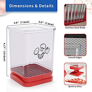 Tewodila Fruit Slicer Cup, Speed Cutter for Strawberry Banana Grape Egg, Stainless Steel Vegetable Cutting Kitchen Gadget, Kitchen Portable Slicing Tool (1 pcs)