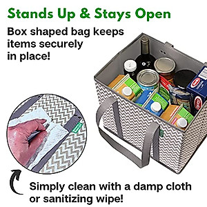 Creative Green Life Reusable Grocery Box Bags and Cooler Bag