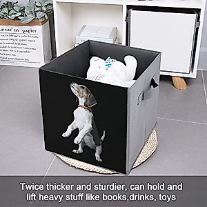 Beagle Collapsible Storage Bins Basics Folding Fabric Storage Cubes Organizer Boxes with Handles